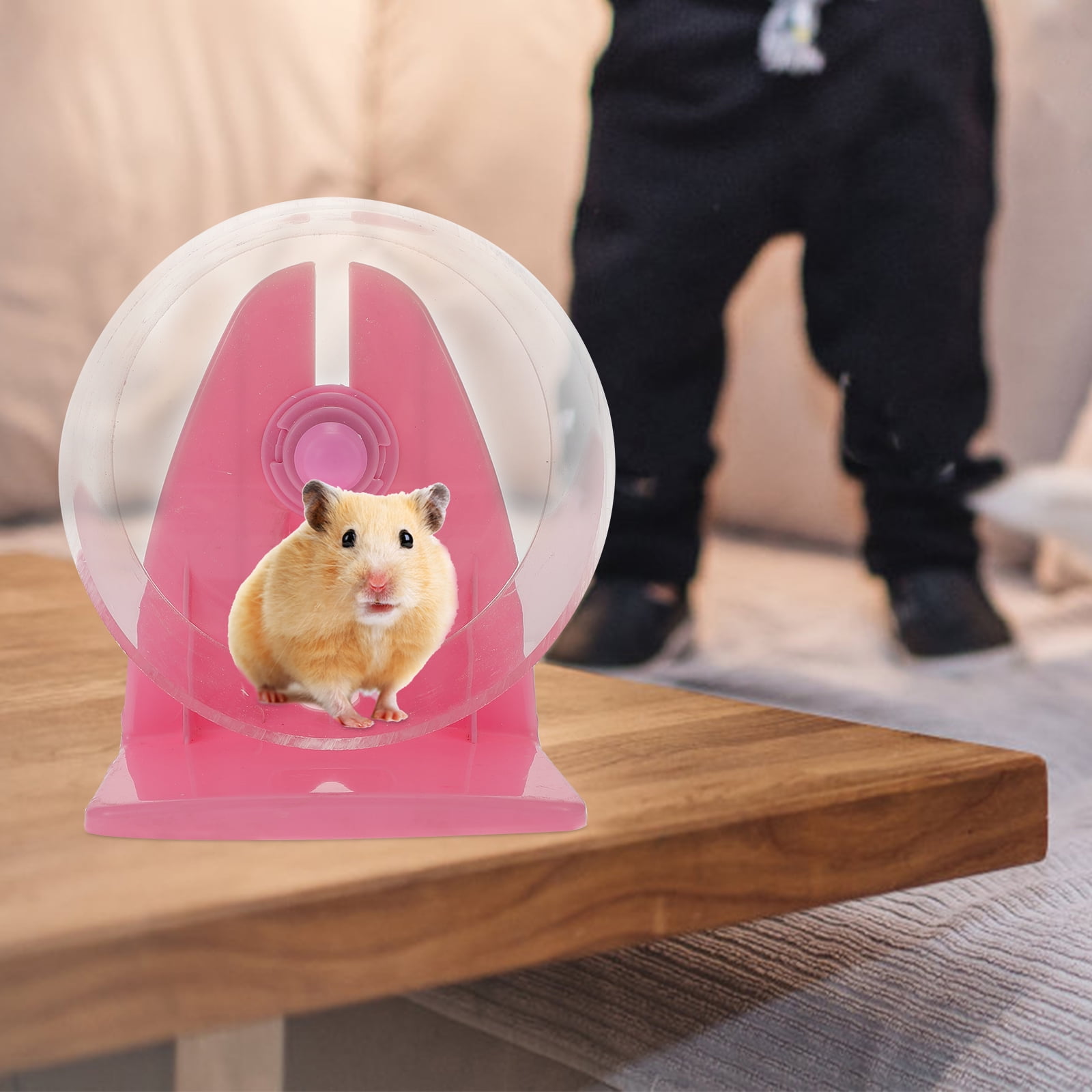 unbranded Small Pet Exercise Running Wheel Hedgehog Wheels Human Size ...