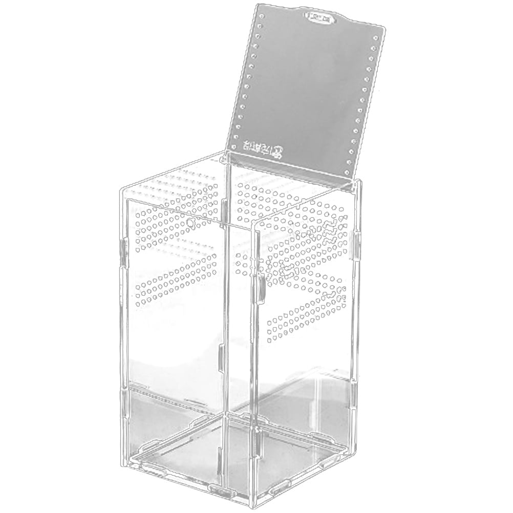 unbranded Terrarium Vertical Enclosure Tank Transparent Feeding Box ...