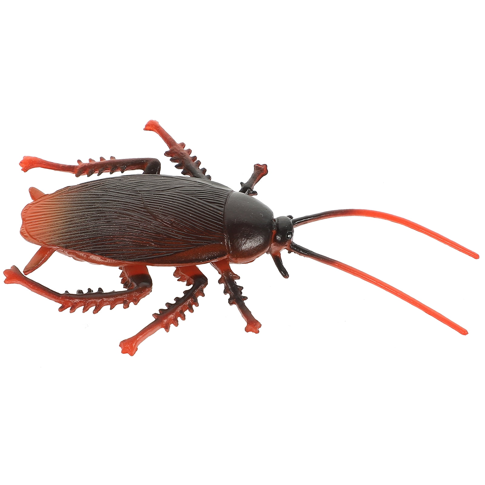 unbranded Wand Simulated Wild Insect Model Prank ( Cockroach Model ...