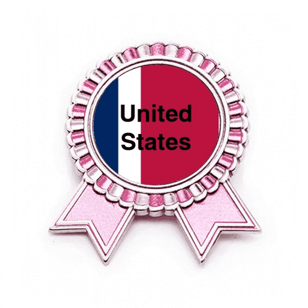 united states ameflag colors english Badge Brooch Pin Pink Winner Award ...