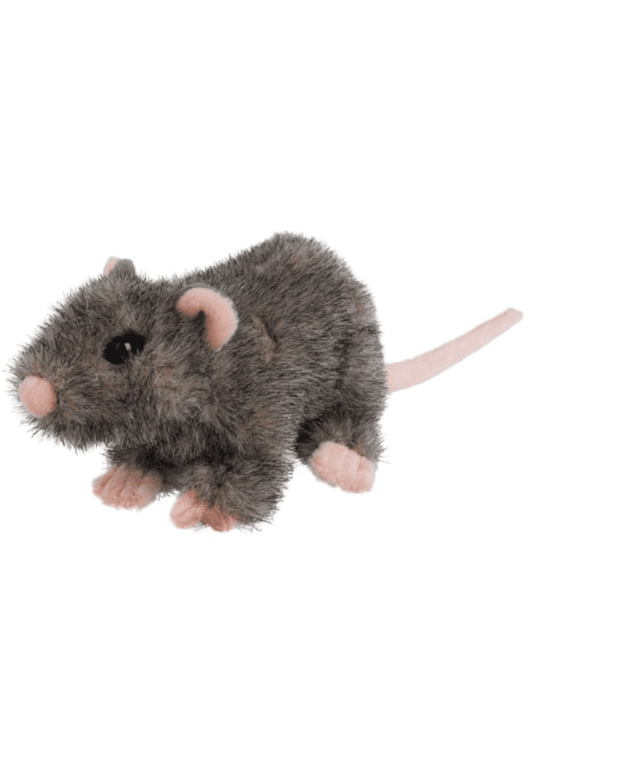 universal studios harry potter scabbers ron weasley pet plush new with ...