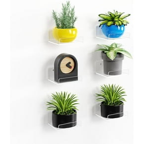 Clear Plastic Shelves