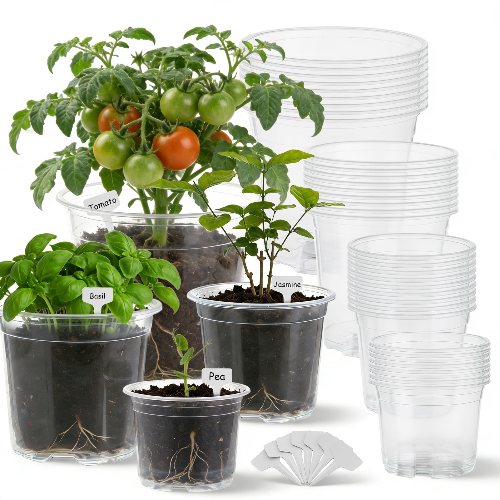urorentea 36 Pack 3.5/4/5/6 inch Clear Nursery Pot, Plastic Plant Pots ...