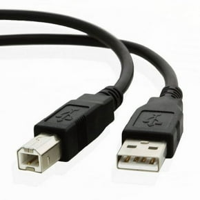 USB Type a to Type B Cables