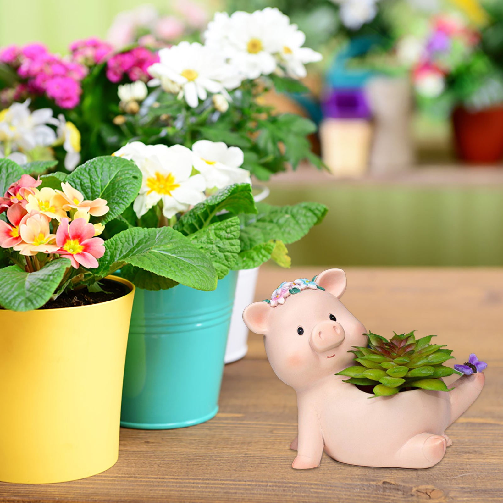 uytogofe Creative Fleshy Flower Pot Set Combination Personality Cute ...