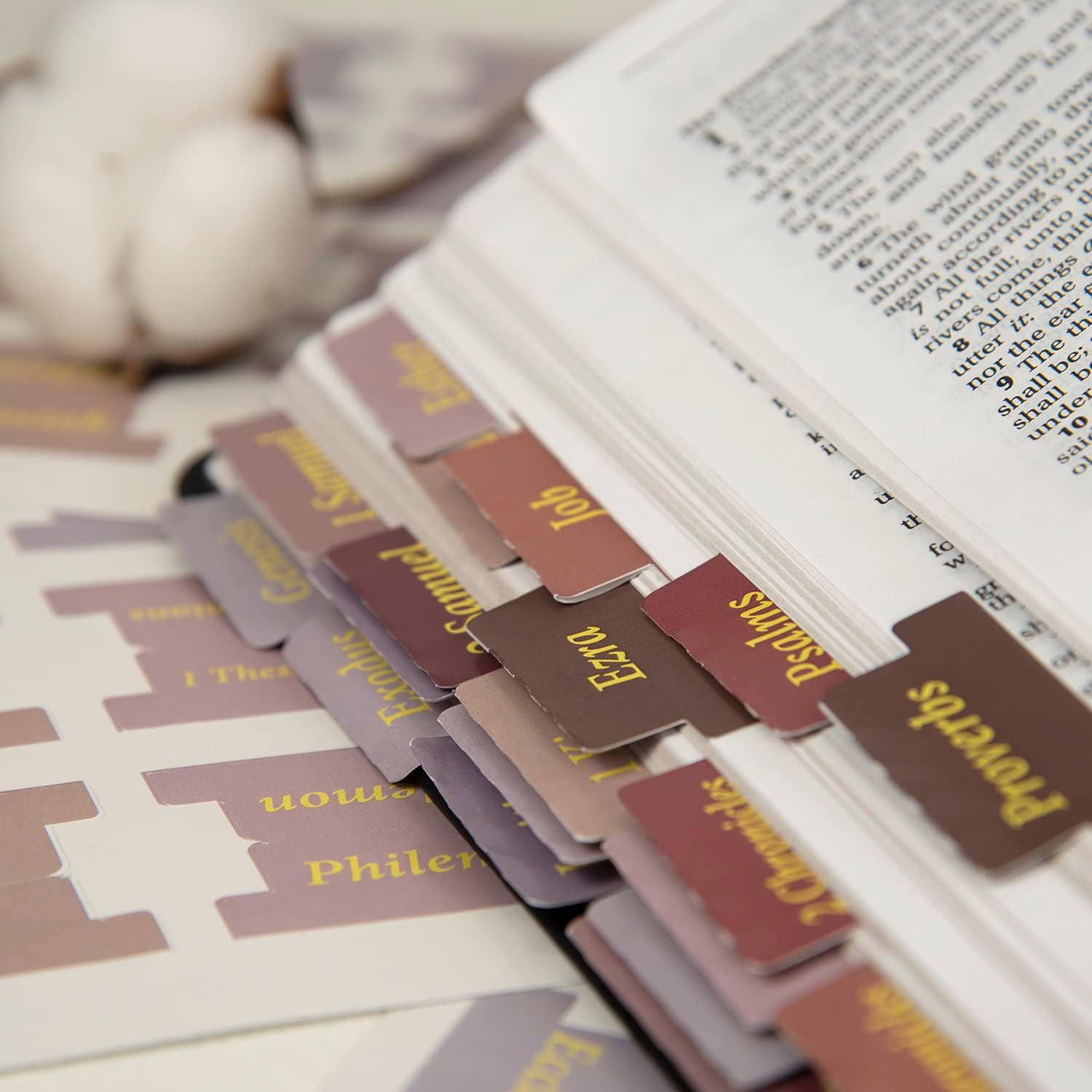 v2croft Self-Adhesive Laminated Large Print Index Tabs with 66 Bible ...