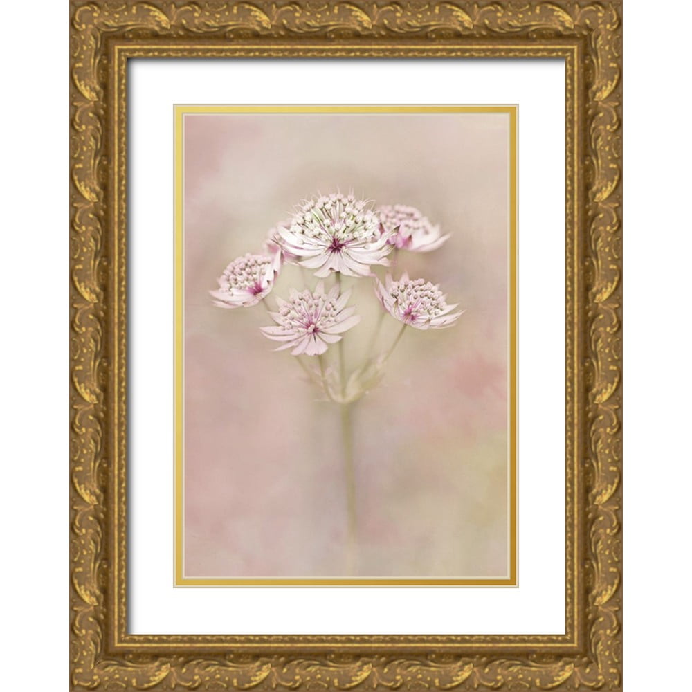 van Zaane, Alida 24x32 Gold Ornate Wood Framed with Double Matting ...