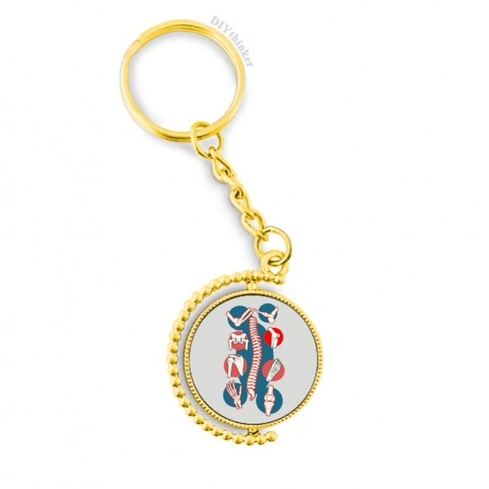 vertebral body joint illustration metal connector key chain accessory ...