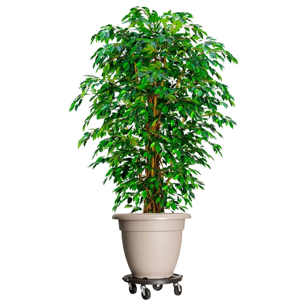 vidaXL Plant Caddy Outdoor Plant Stand Garden Rolling Plant Pot Trolley ...
