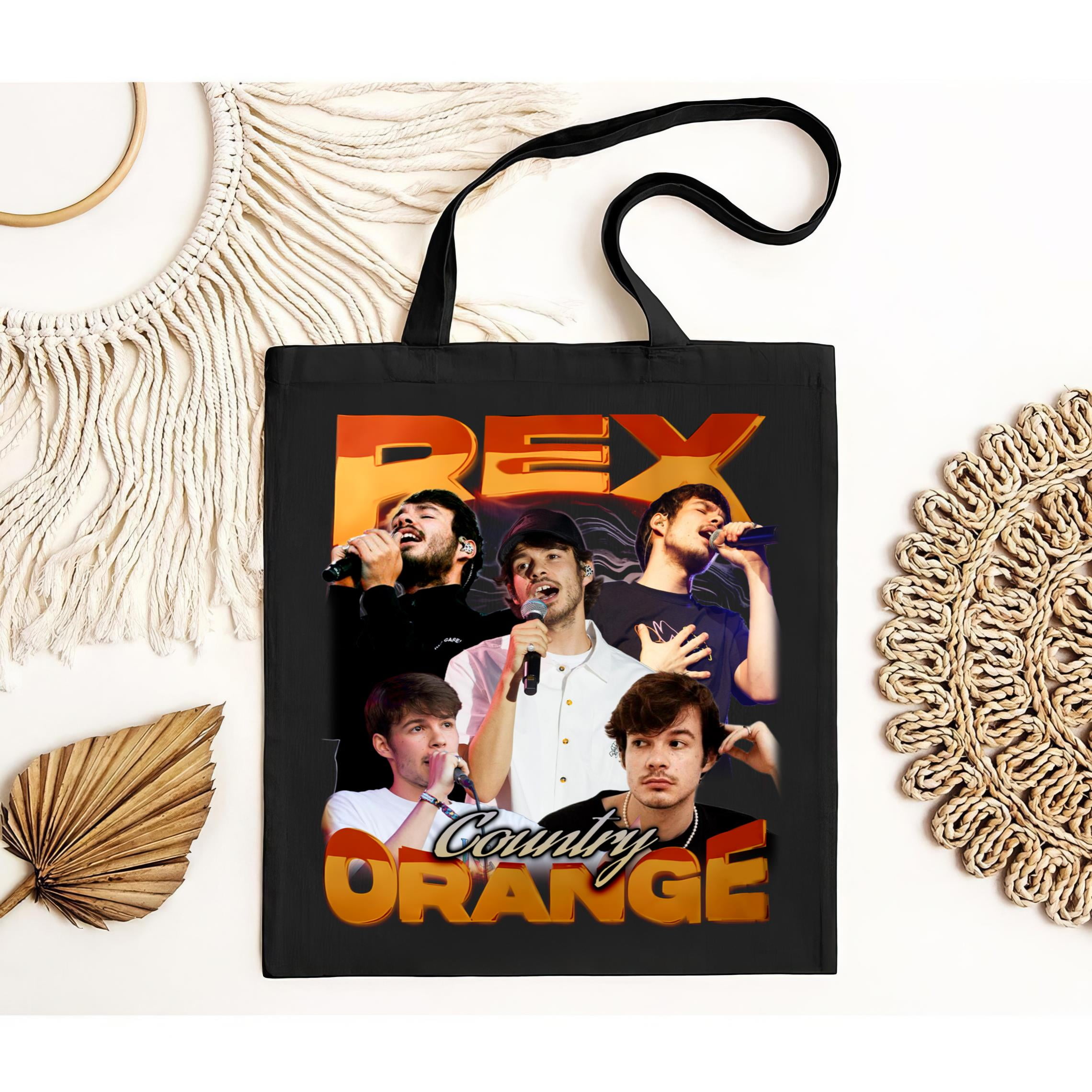 vintage REX ORANGE COUNTY Vintage Rex Orange County Singer Fan s Singer Homage Retro Rex Orange ...