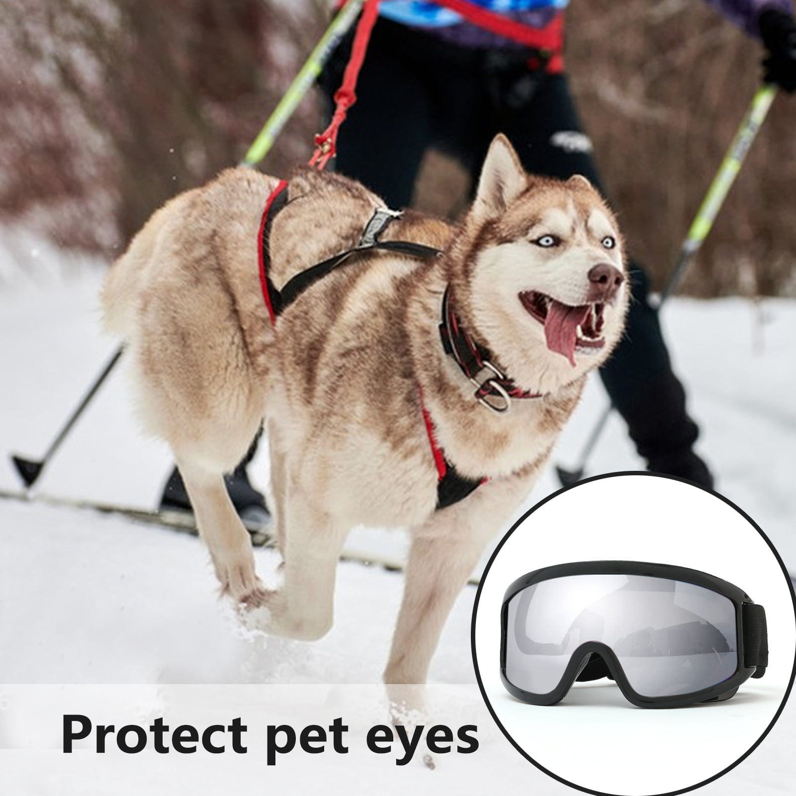 vnanda Rainproof Dog Eyewear Protect Pet's Eyes with Waterproof ...