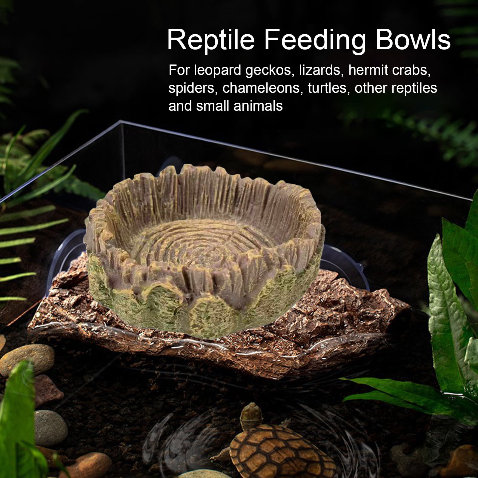 vnanda Theme Water Bowls 2-pack Feeding Bowls with Natural Rock Texture ...