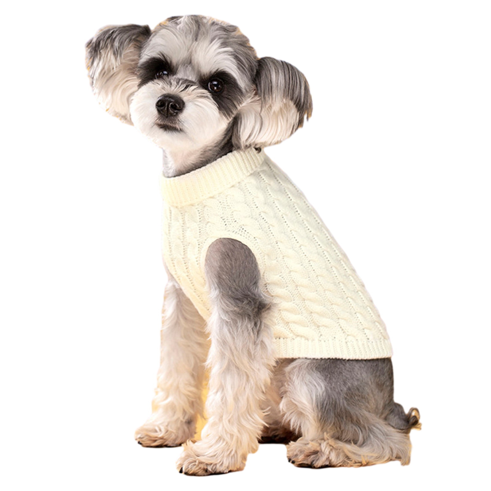 vnanda Trendy Lapel Pet Sweater Pet Sweater with Lapel Design ...