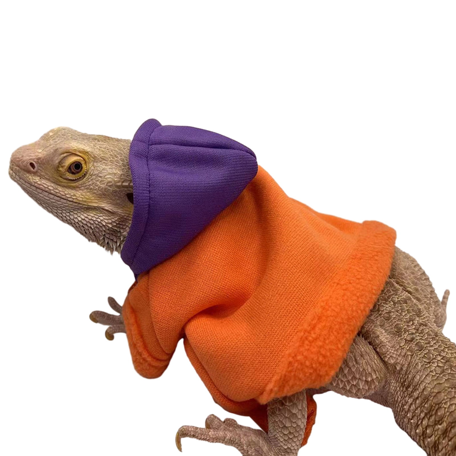 vnanda Washable Wear-resistant Pet Clothes Adjustable Lizard Clothing ...