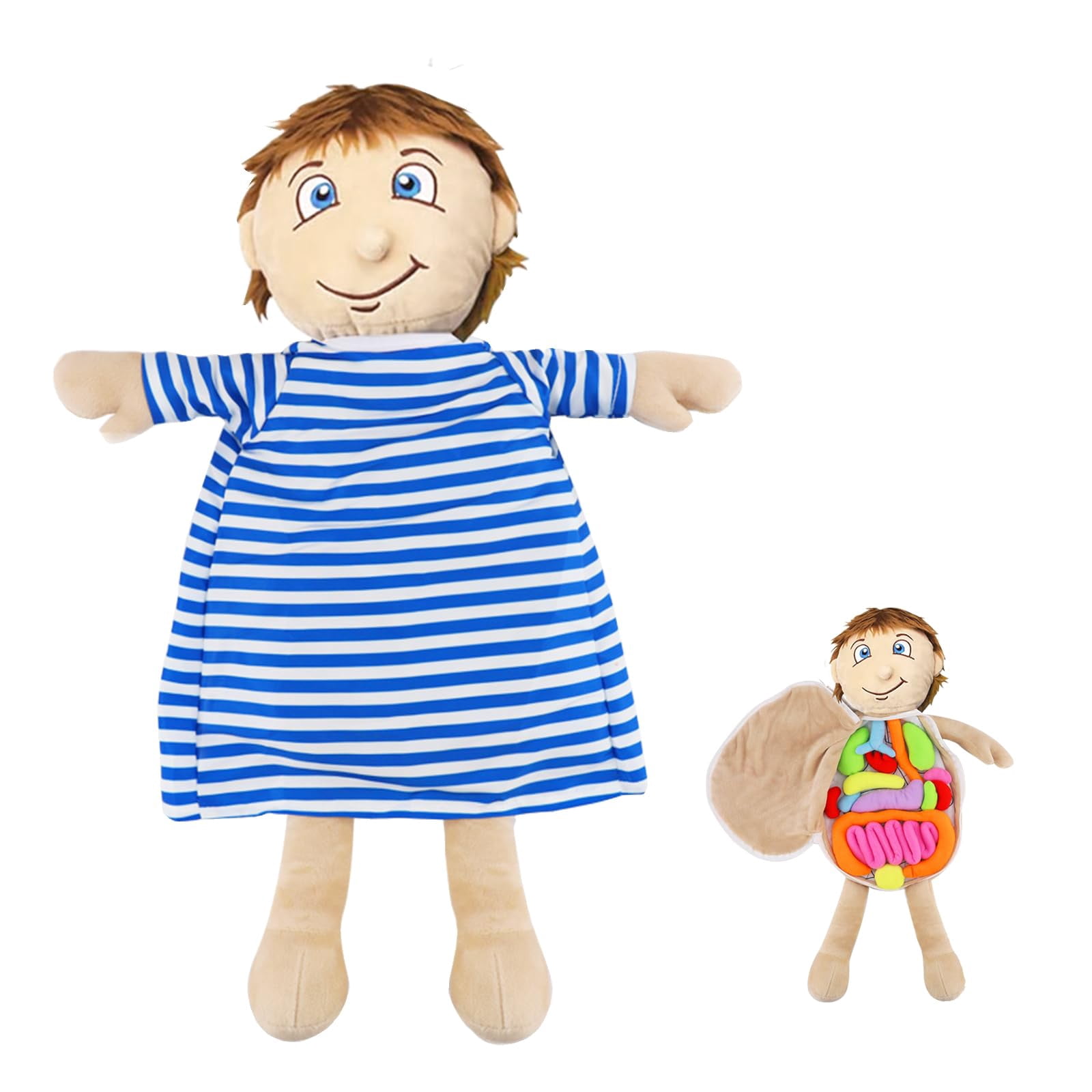 vocheer Human Body Anatomy OIF8 Toy, Montessori Preschool Educational ...