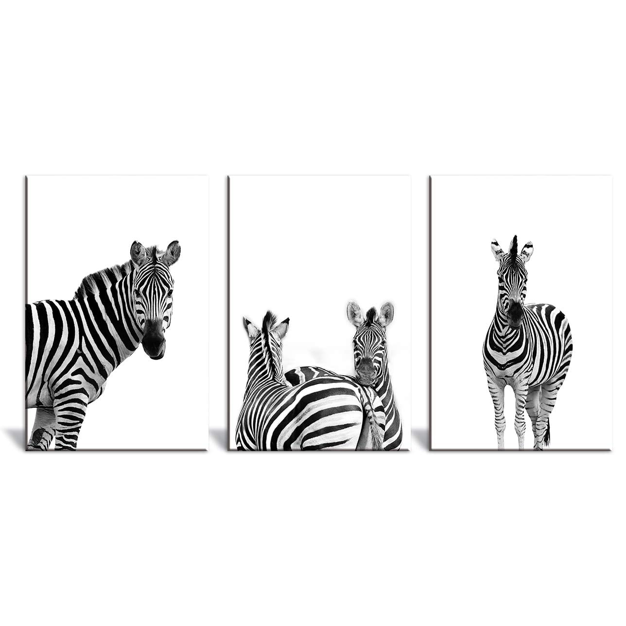 wall26 - 3 Panel Canvas Wall Art - Close Up of Zebras in Black and ...