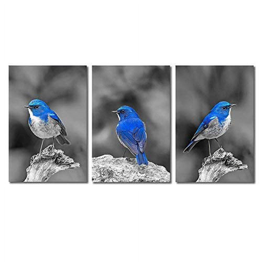 Black And White With Color Splash Wallpaper