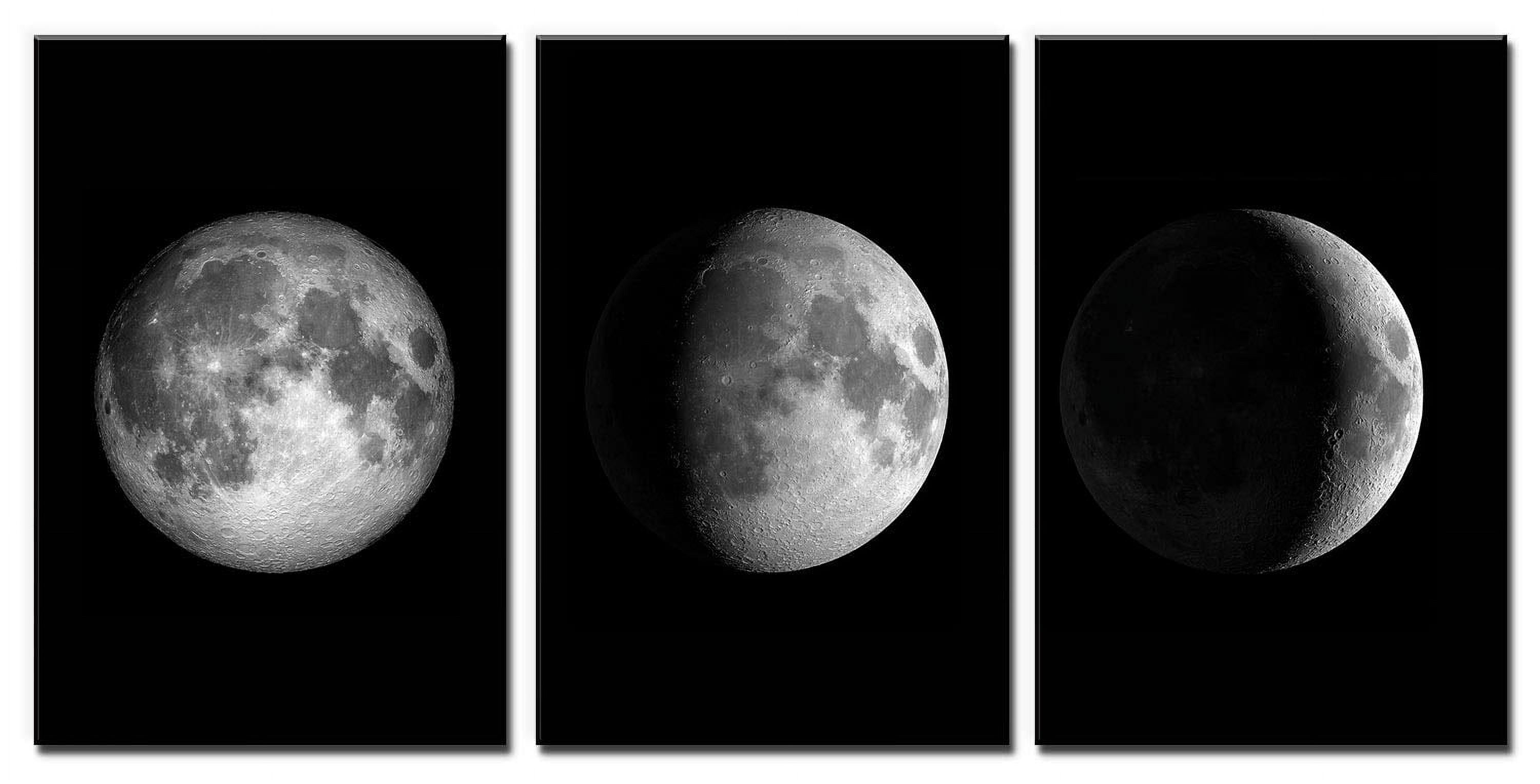 wall26 - 3 Panel Canvas Wall Art - The Moon in Different Lunar Phases ...