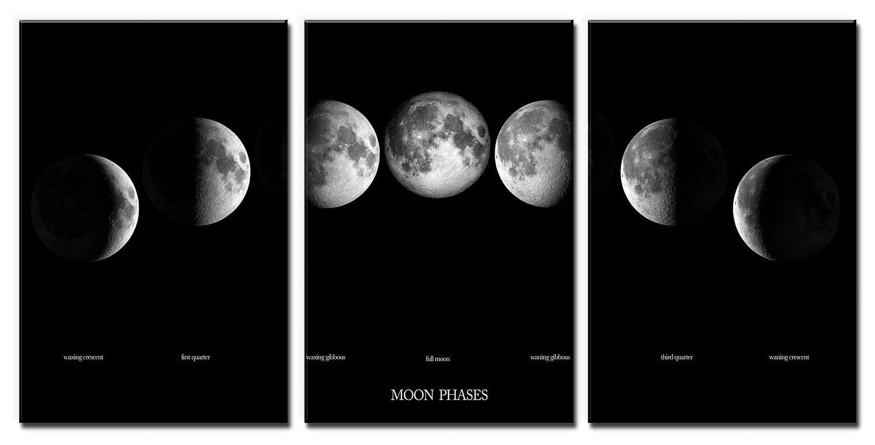 wall26 - 3 Panel Canvas Wall Art - The Moon in Different Lunar Phases ...