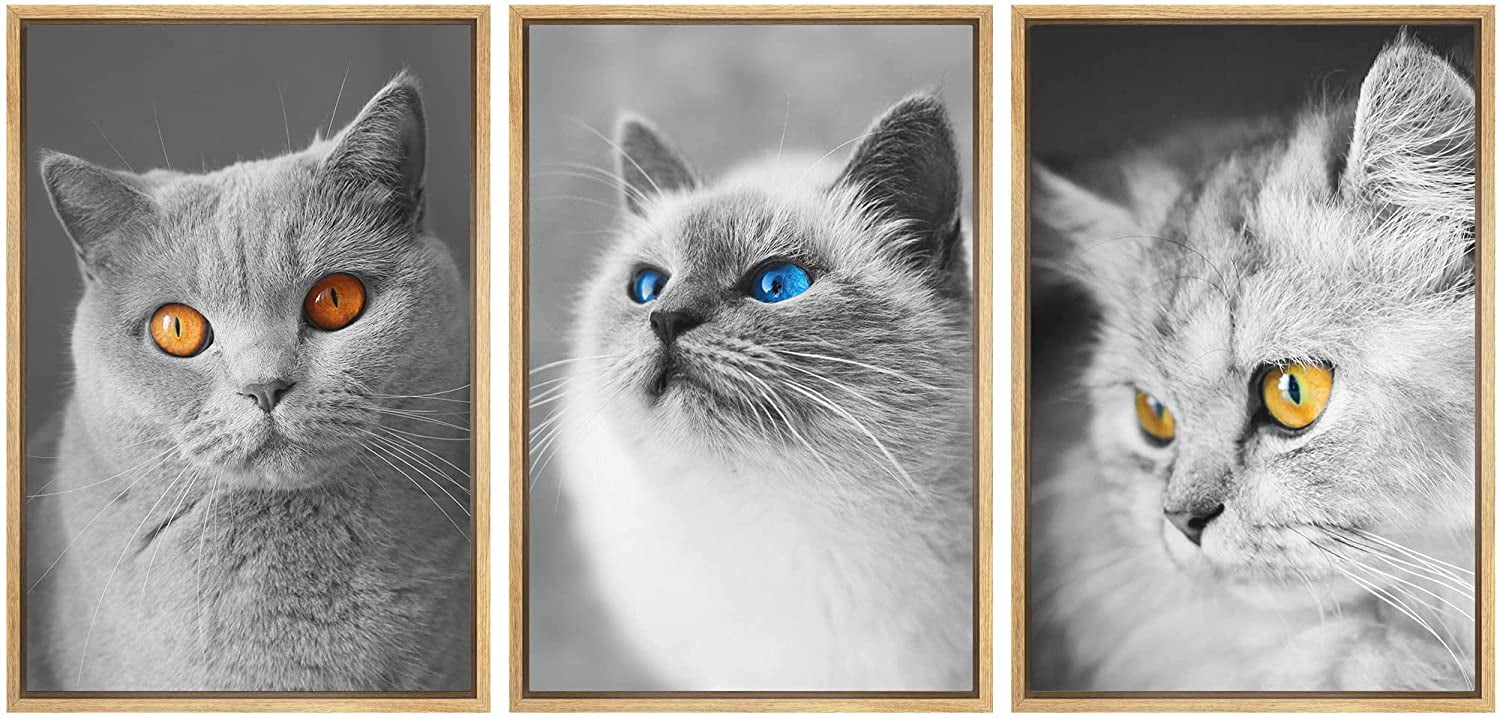 wall26 3 Panel Framed Canvas Wall Art - Cute Cats Partially Colored ...