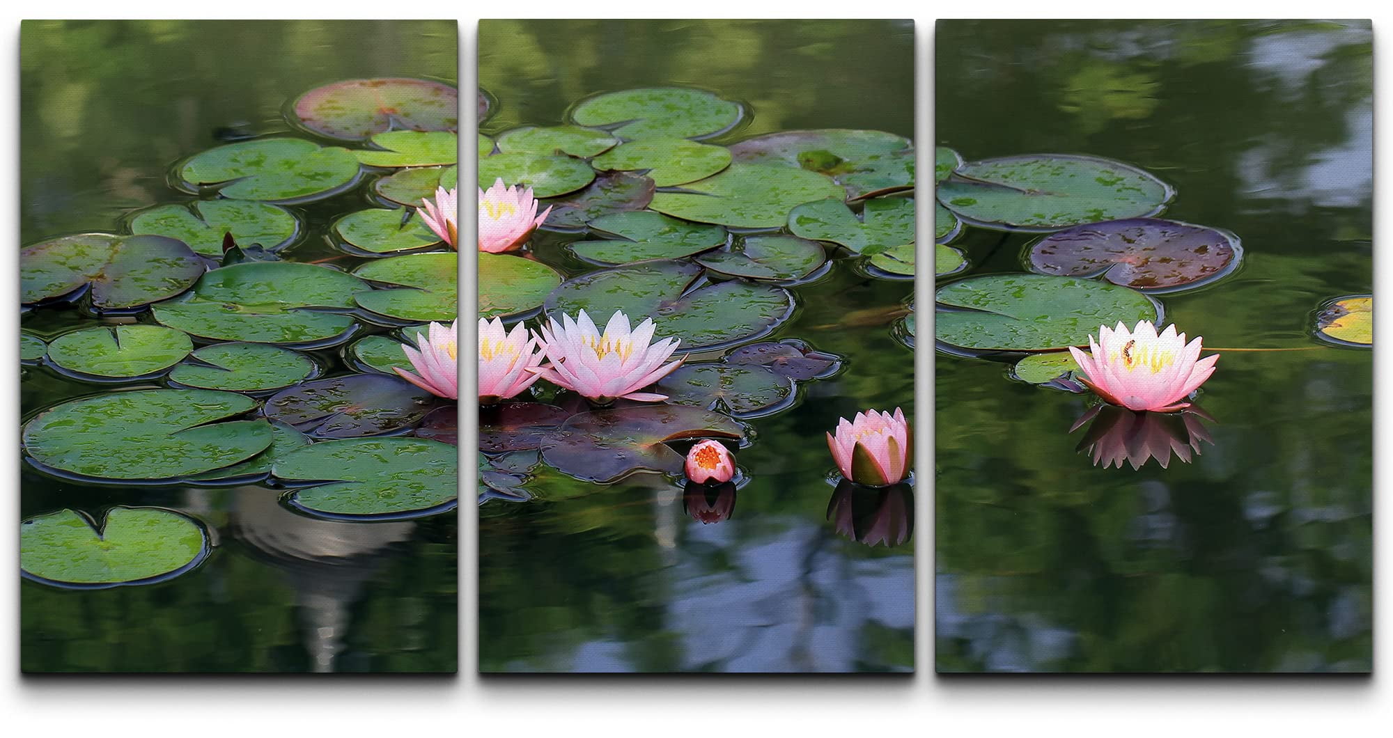 wall26 - 3 Piece Canvas Wall Art - Beautiful Lotus Flower in The Pond ...