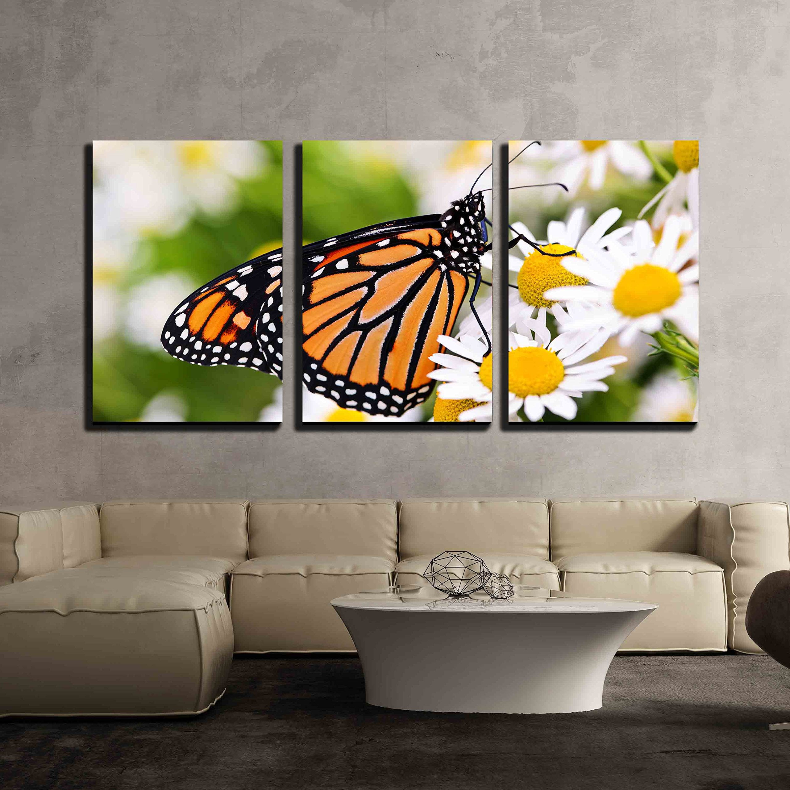 wall26 - 3 Piece Canvas Wall Art - Colorful Monarch Butterfly Sitting ...