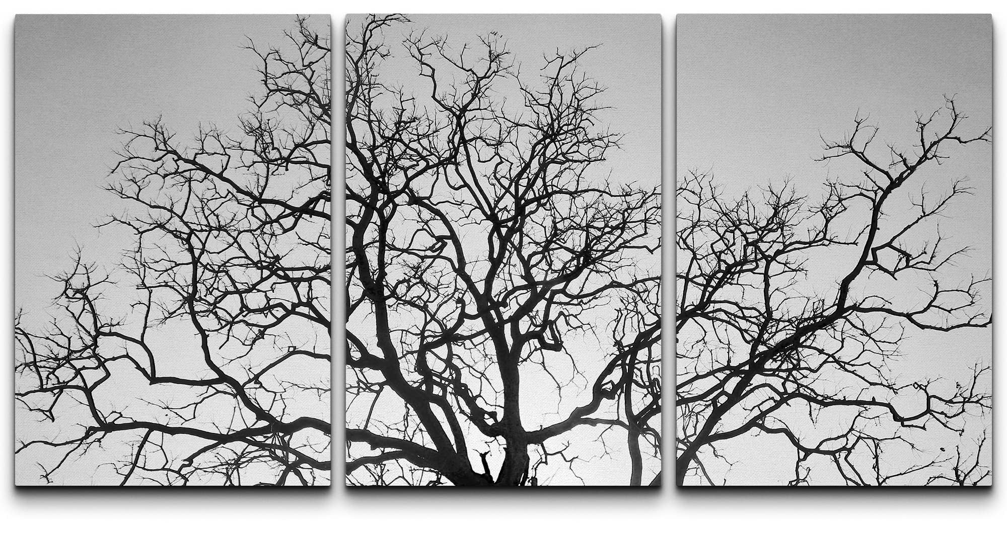 wall26 - 3pc Canvas Art - Dead Tree Branch, Black/White - Ready to Hang ...