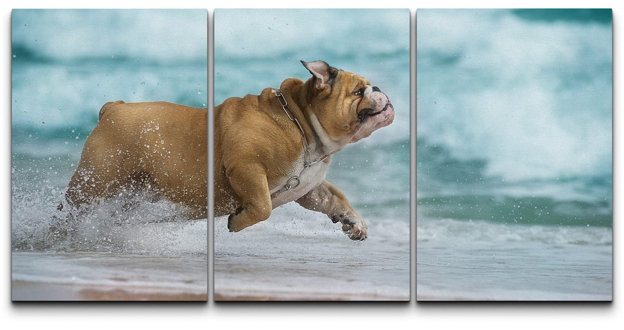 wall26 - 3 Piece Canvas Wall Art - Happy Dog Bulldog Running at The Sea ...