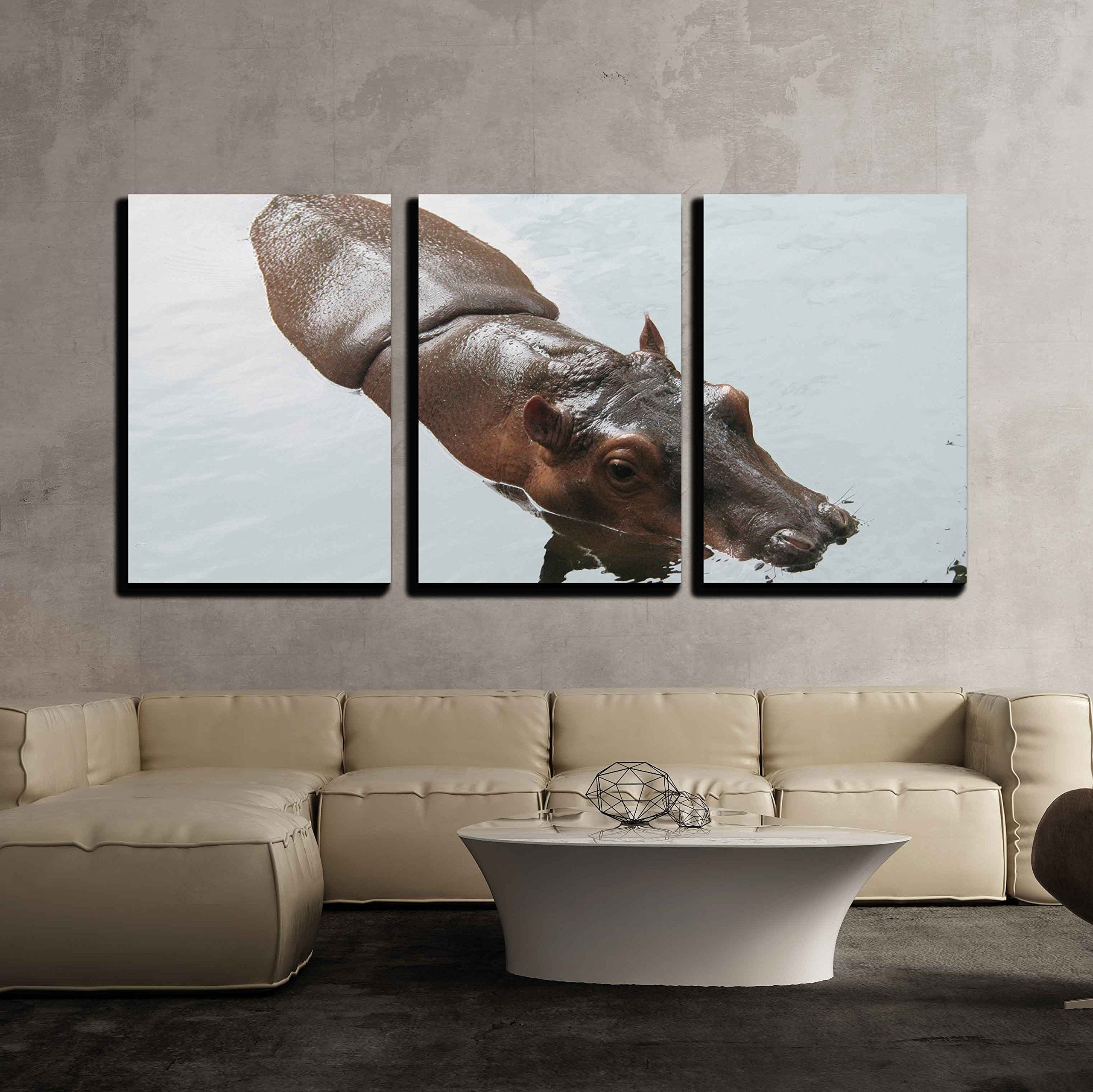 wall26 - 3 Piece Canvas Wall Art - Hippopotamus (Hippopotamus Amphibius ...
