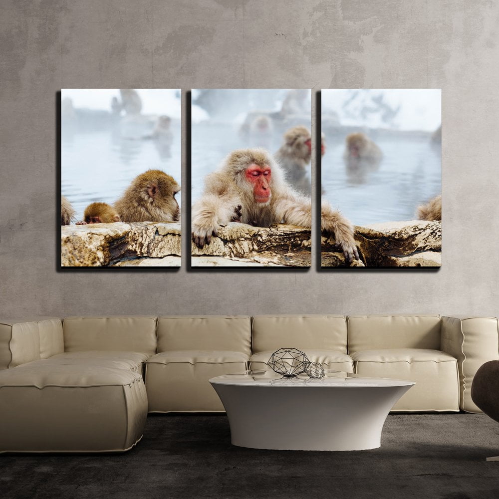 wall26 - 3 Piece Canvas Wall Art - Japanese Macaque Monkeys in Bath ...