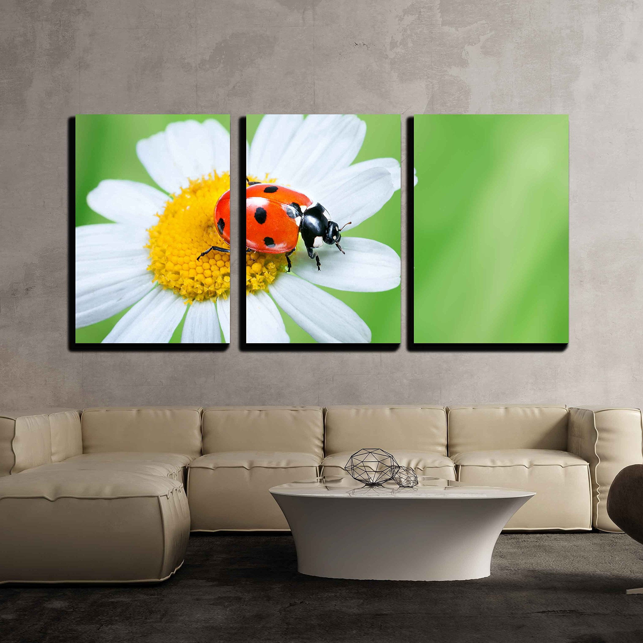 wall26 - 3 Piece Canvas Wall Art - Ladybug on Daisy in The Grass ...