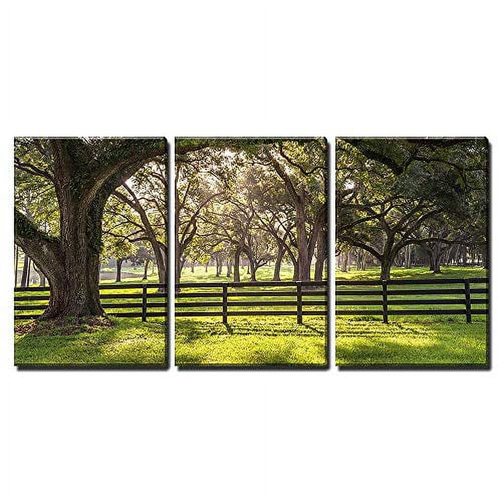 wall26 - 3 Piece Canvas Wall Art - Large Oak Tree Branch with Farm ...