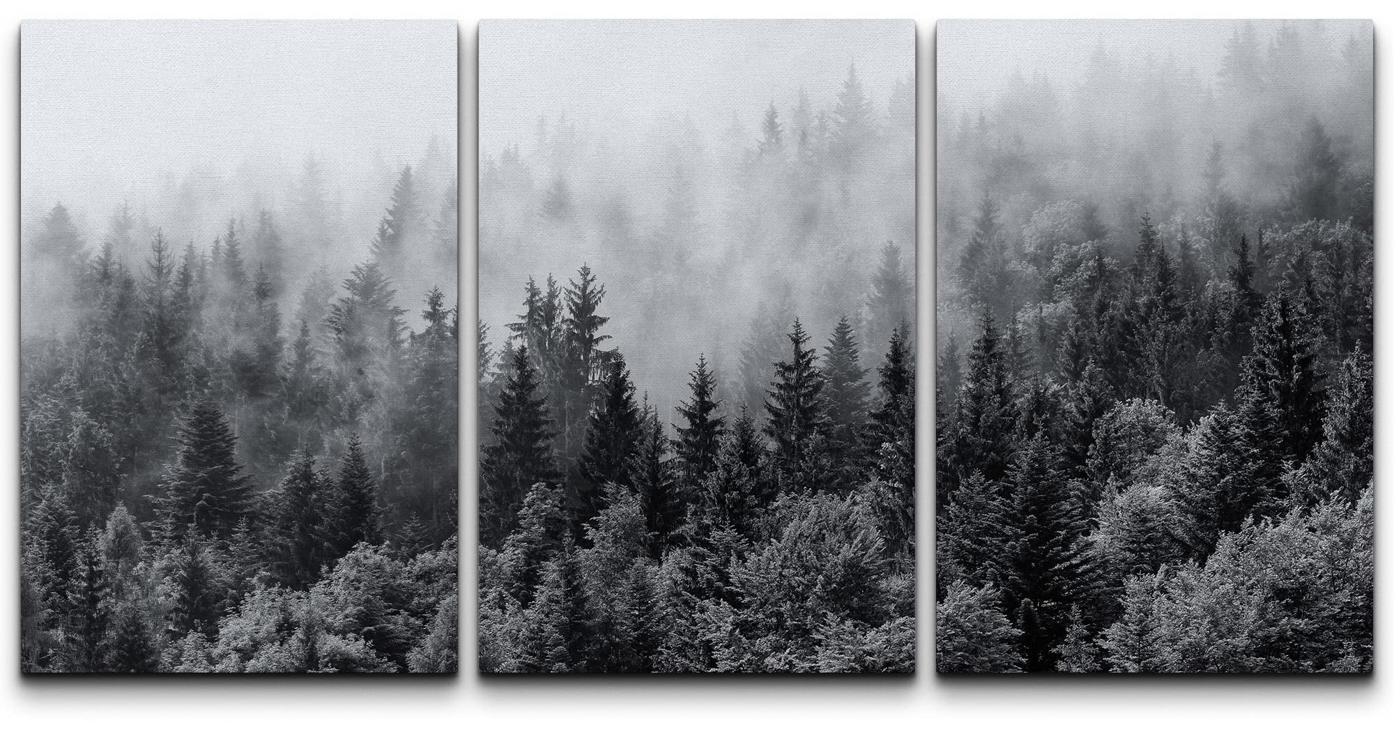 wall26 - 3 Piece Canvas Wall Art - Misty Forests of Evergreen ...