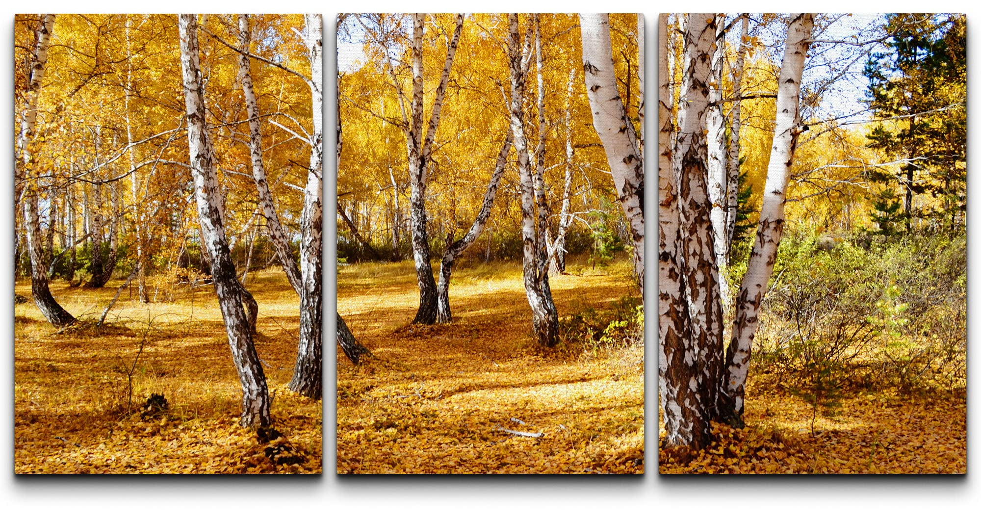 wall26 - 3 Piece Canvas Wall Art - Nature Altaya Pleases Eye of The ...