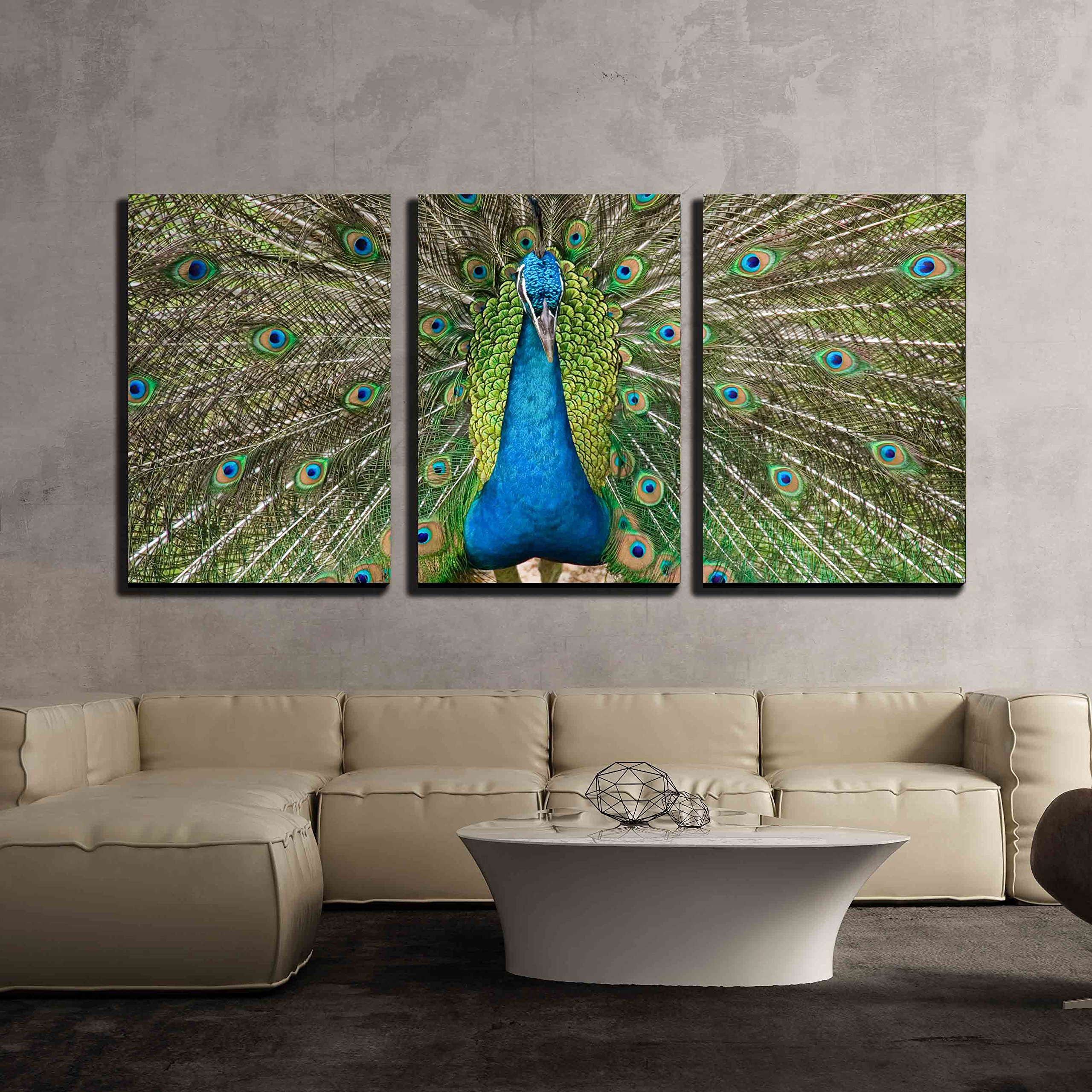 wall26 - 3 Piece Canvas Wall Art - Portrait of Peacock with Feathers ...