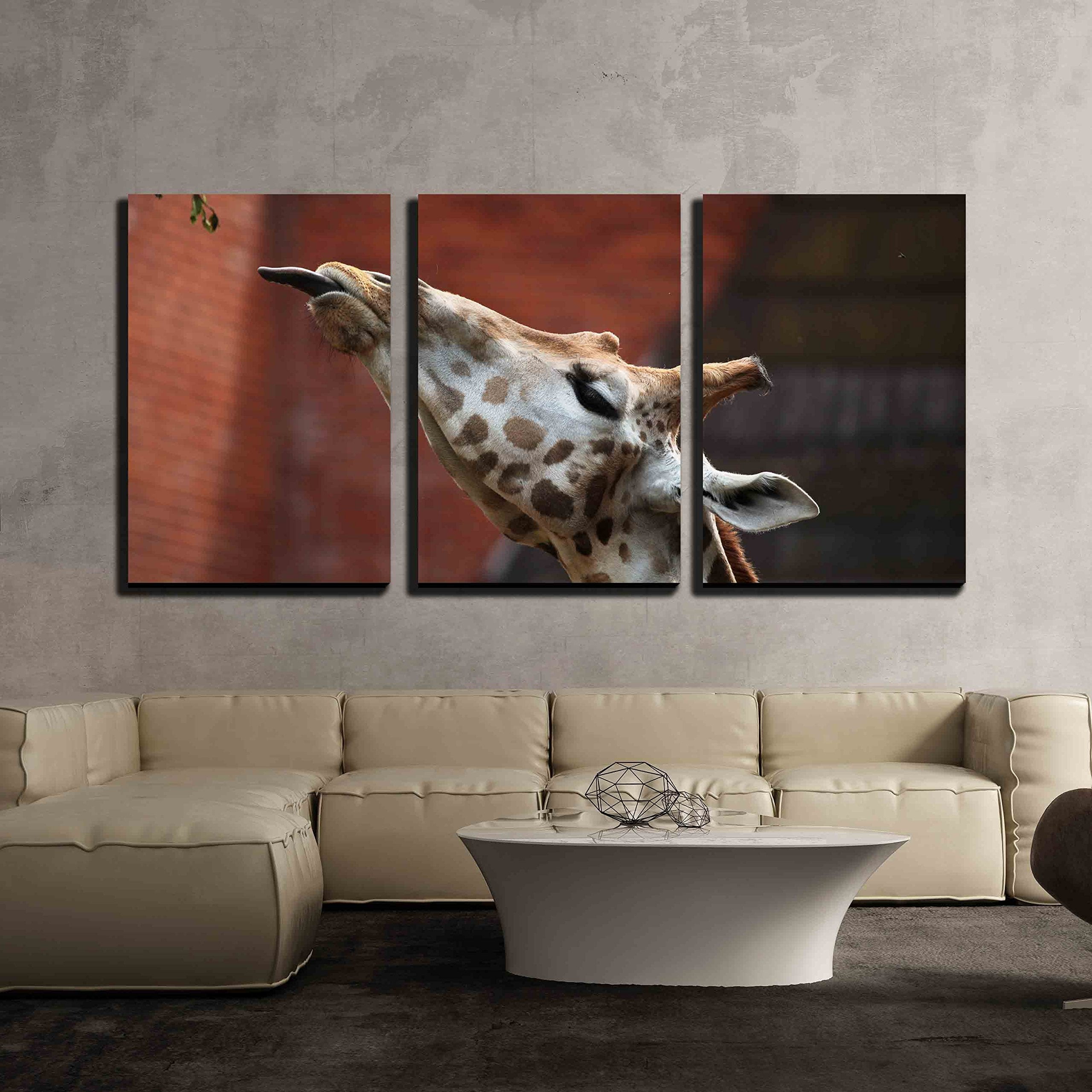 wall26 3 Piece Canvas Wall Art - Rothschild Giraffe (Giraffa ...