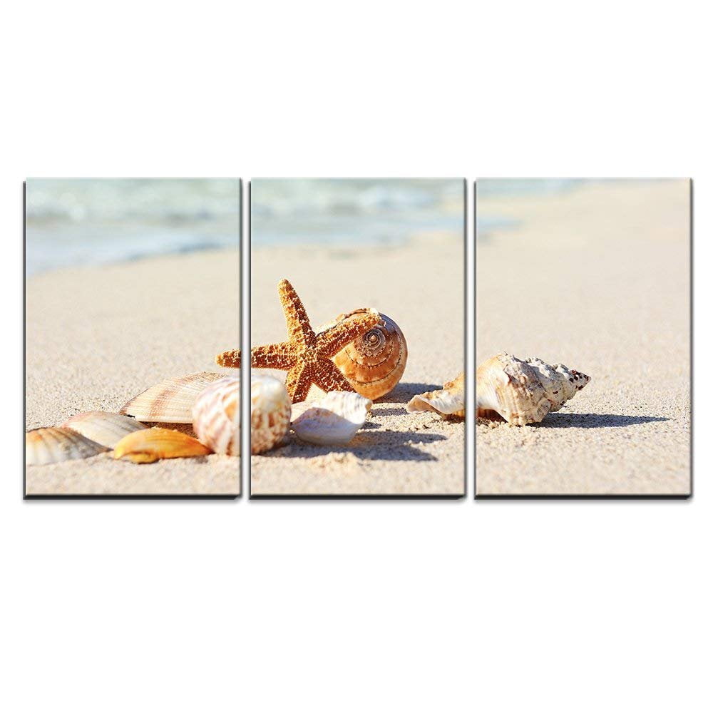 wall26 - 3 Piece Canvas Wall Art - Sea Shells with Sand as Background ...