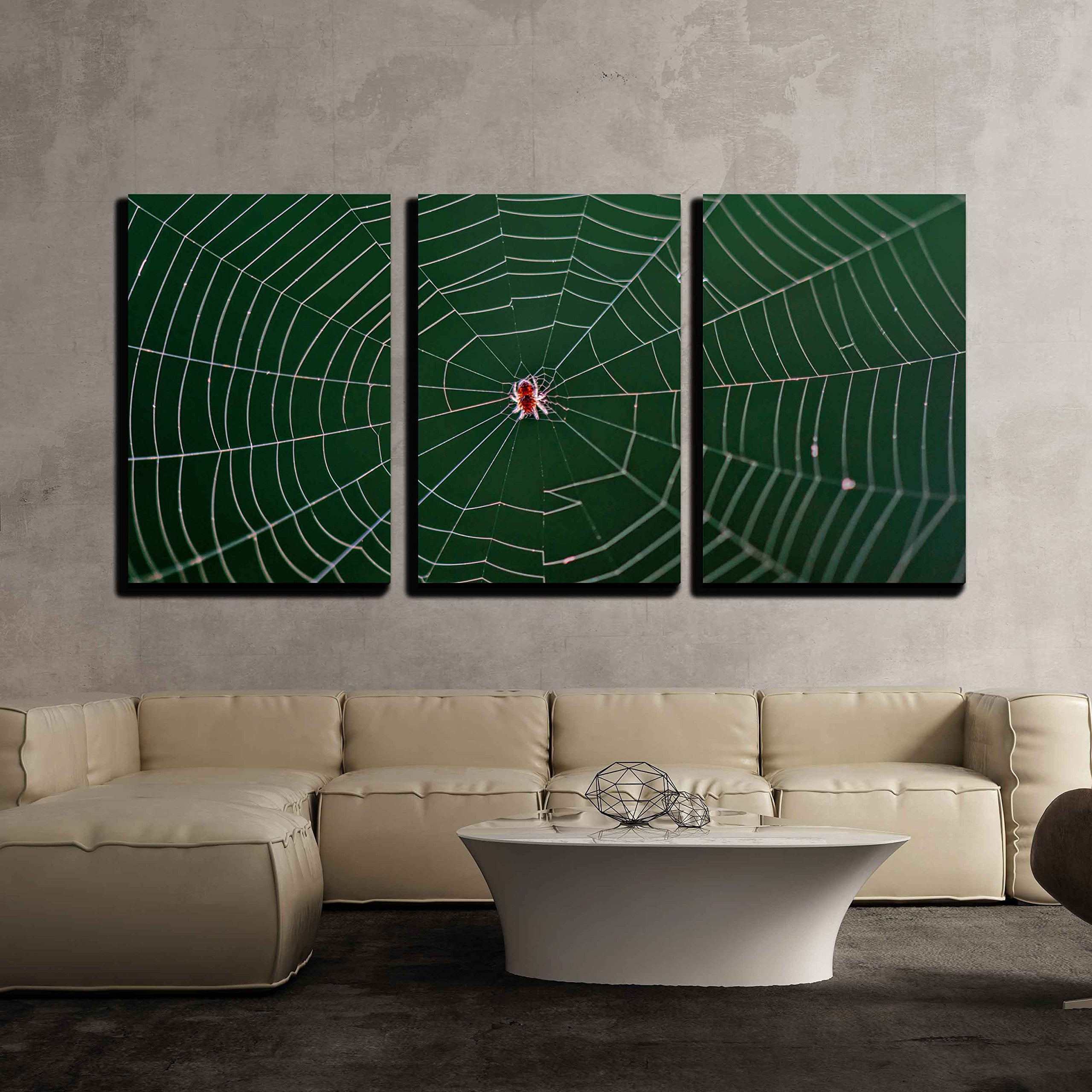 wall26 - 3 Piece Canvas Wall Art - Small Spider in Center of Its Web ...