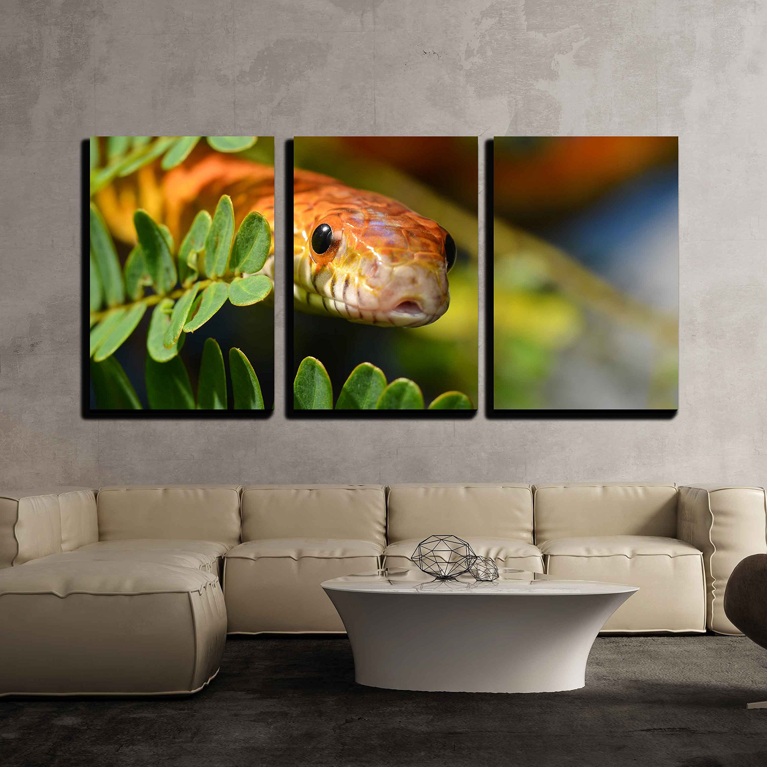 wall26 - 3 Piece Canvas Wall Art - Sunkissed Corn Snake Close up Eye ...