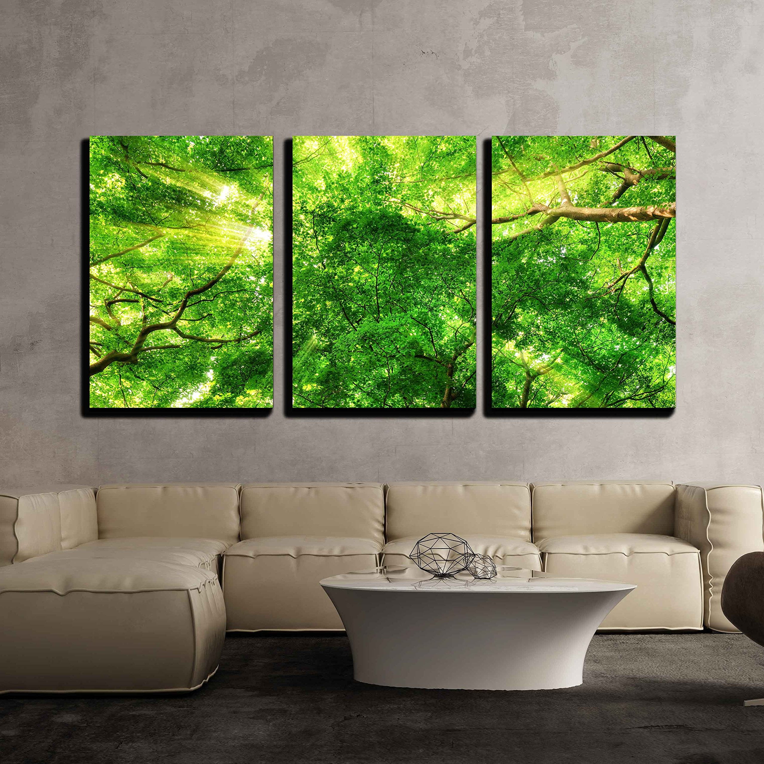 wall26 - 3 Piece Canvas Wall Art - Sunrays Shining Through Green Leaves ...