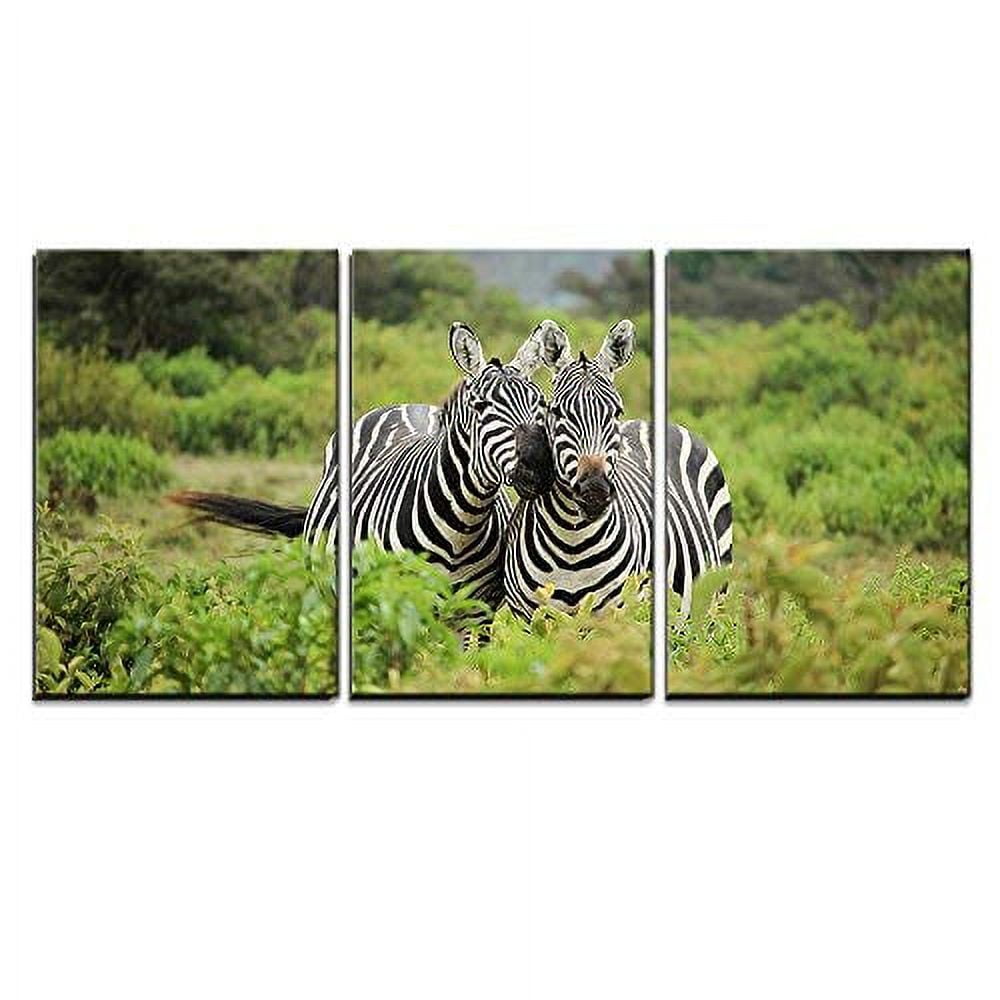 wall26 - 3 Piece Canvas Wall Art - a Sweet Pair of Zebra Living ...