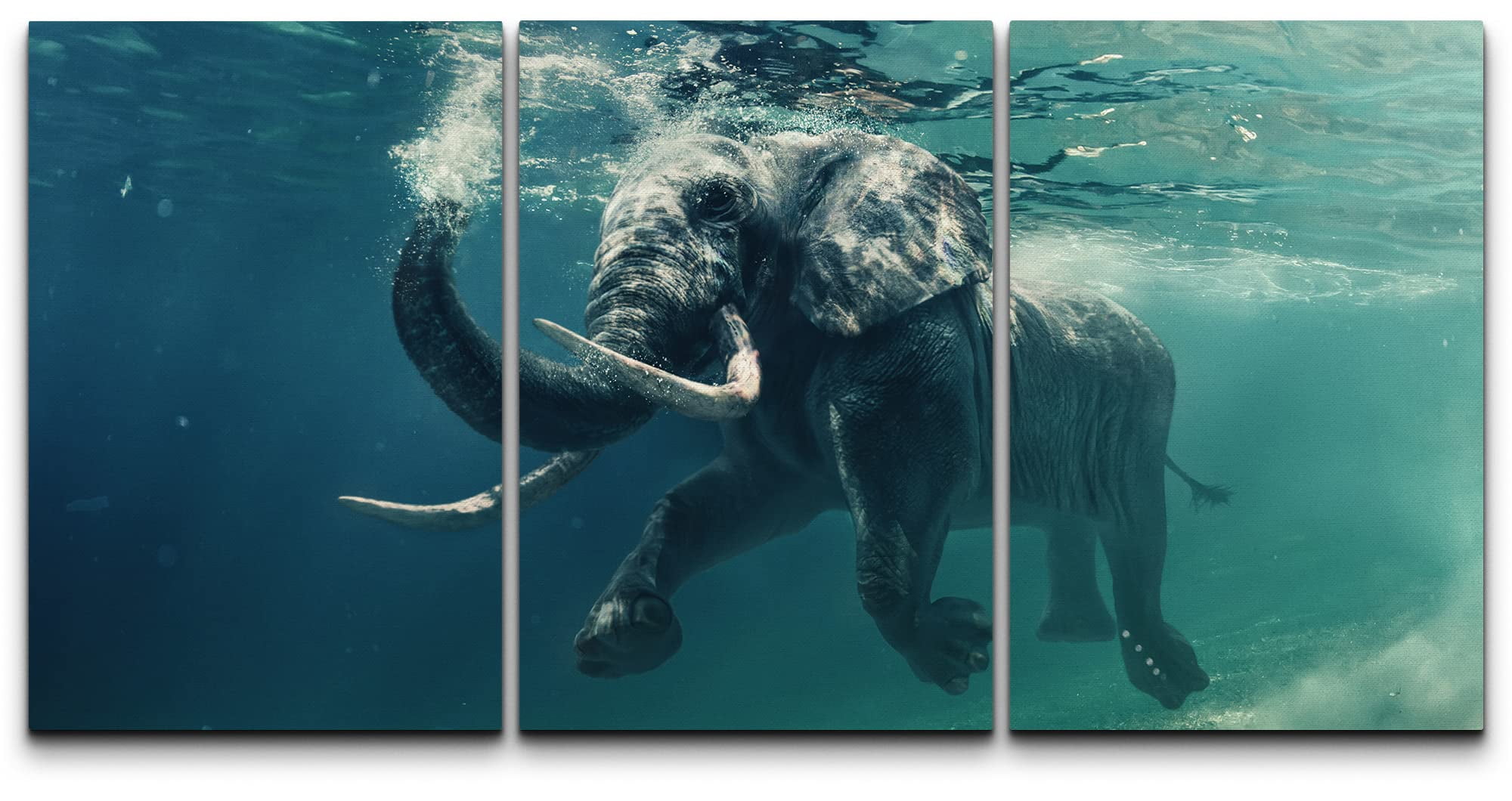 wall26 - 3 Piece Canvas Wall Art - Swimming Elephant Underwater ...