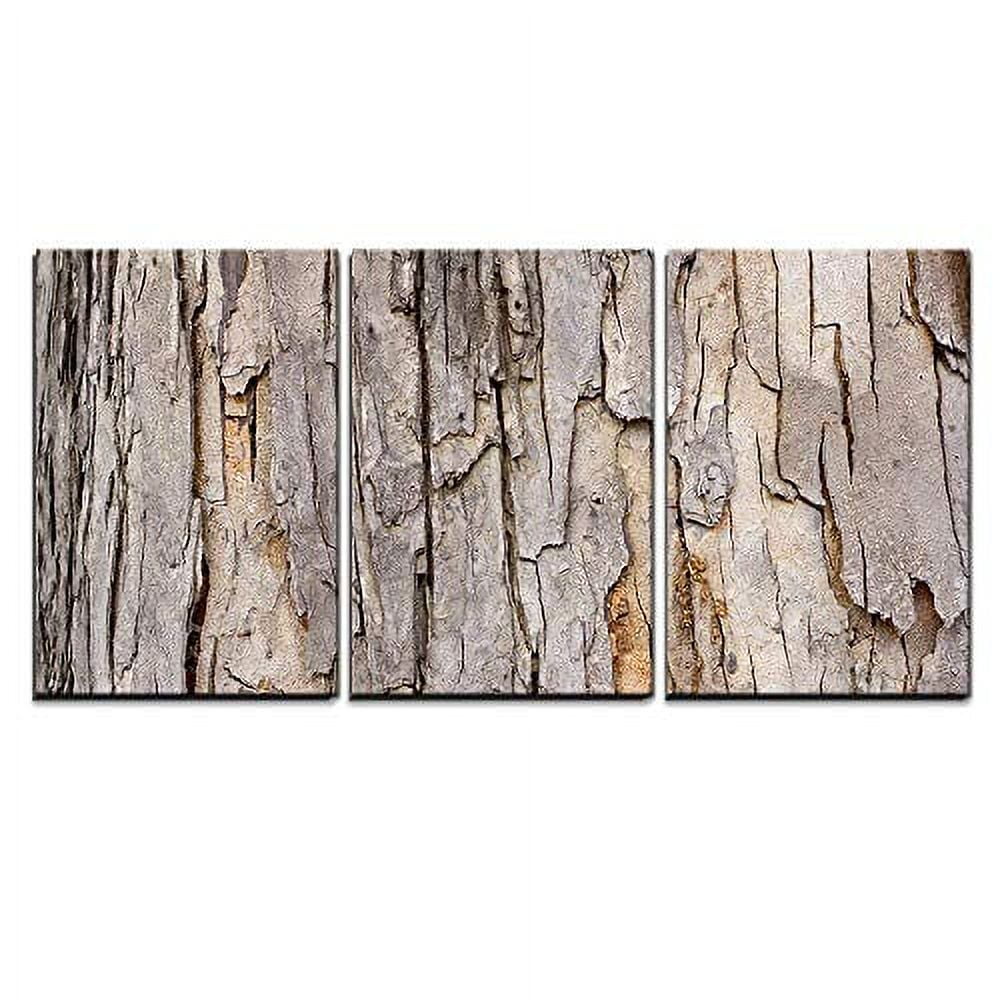 wall26 - 3 Piece Canvas Wall Art - Tree Bark - Modern Home Art ...