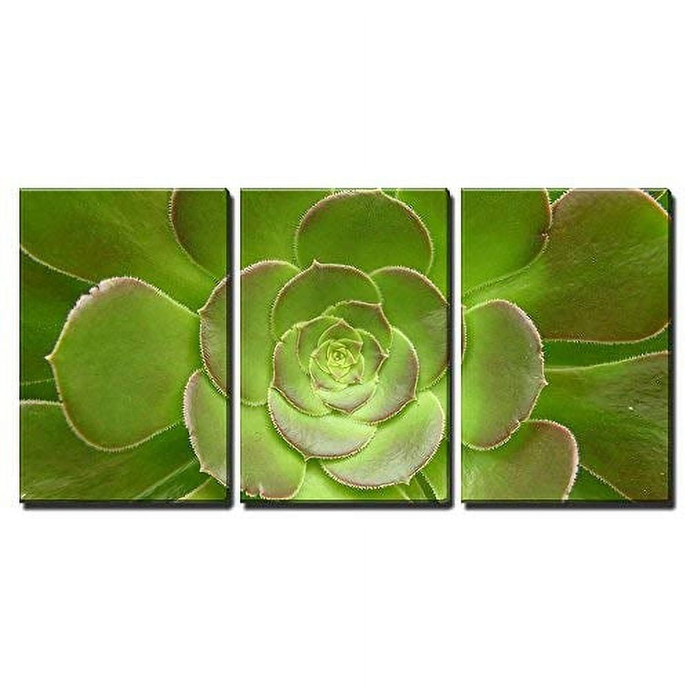 Wall26 3 Piece Canvas Wall Art A Green Cacti Flower Modern Home