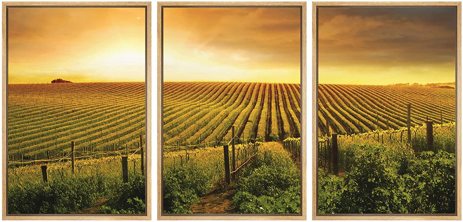 wall26 - 3 Piece Framed Canvas Wall Art - a Beautiful Sunset Over a Barossa Vineyard - Modern ...
