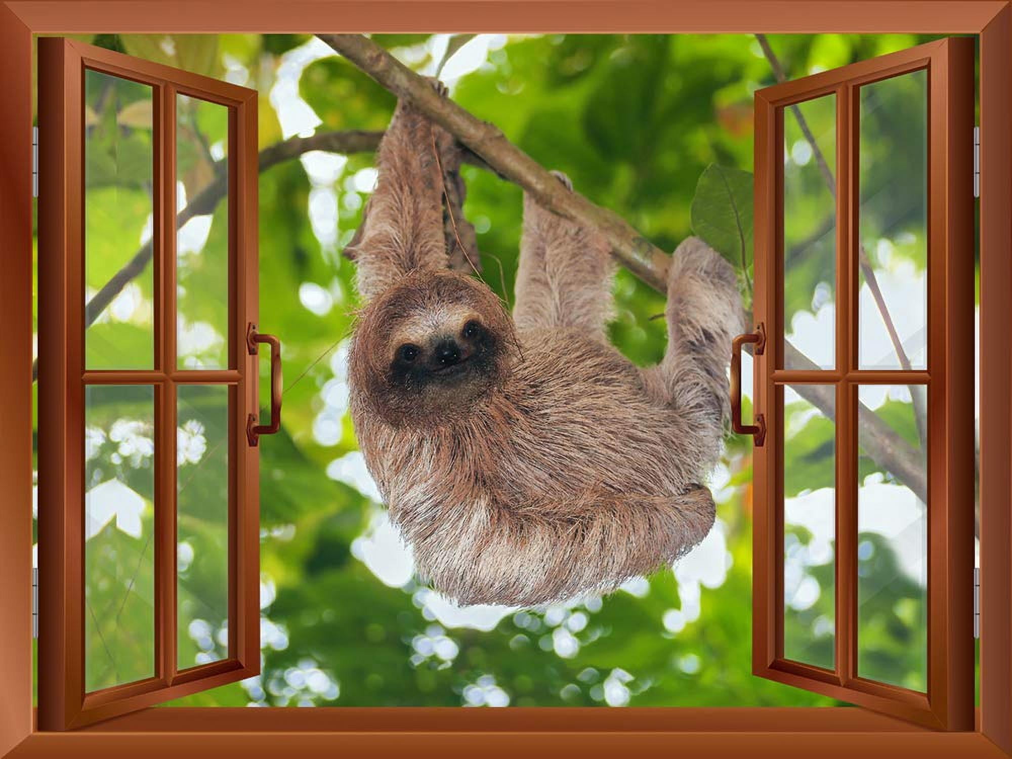 Sloth Window Sticker
