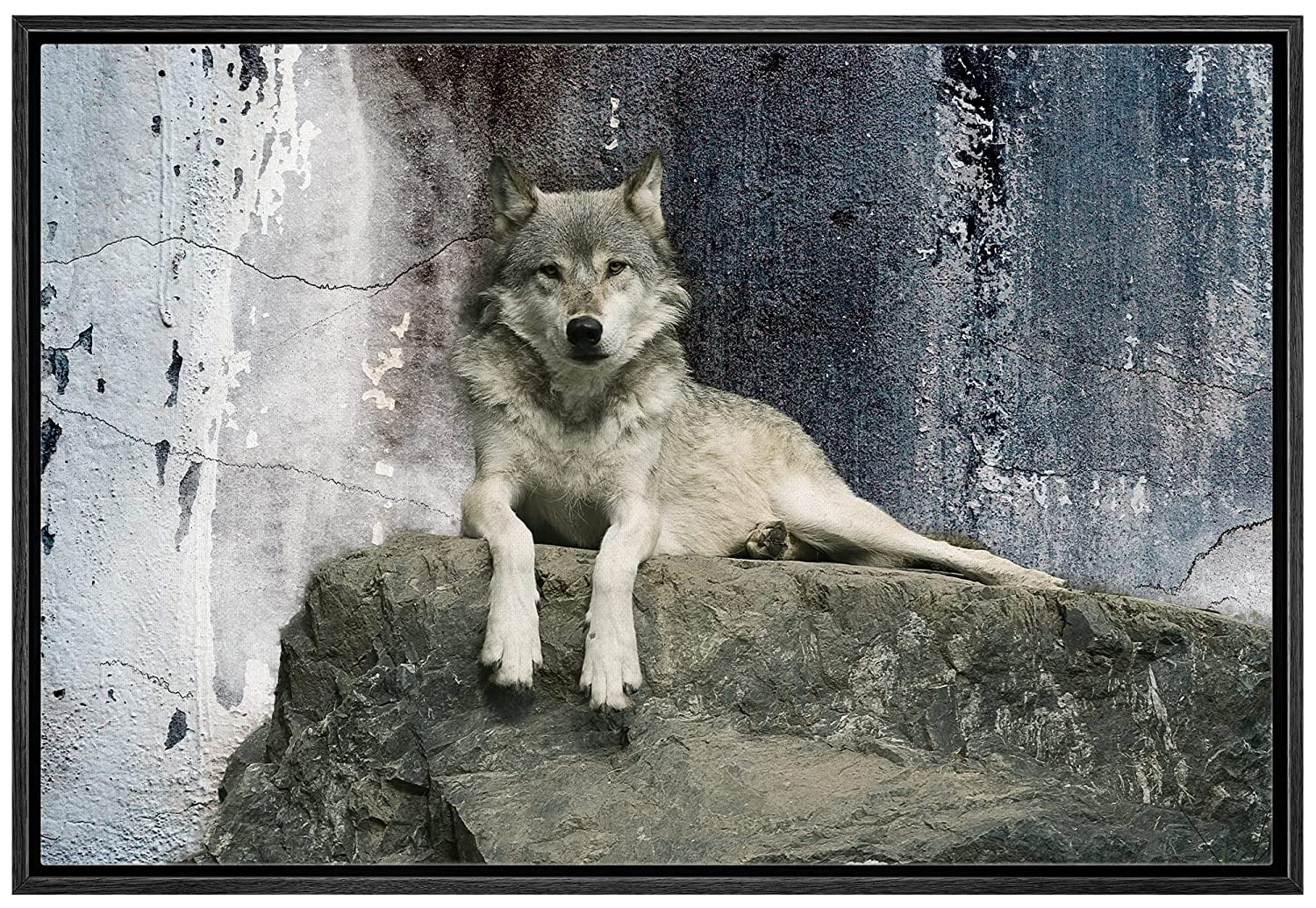 wall26 - Animal Theme Framed Canvas Wall Art - A Wolf Laying on a ...