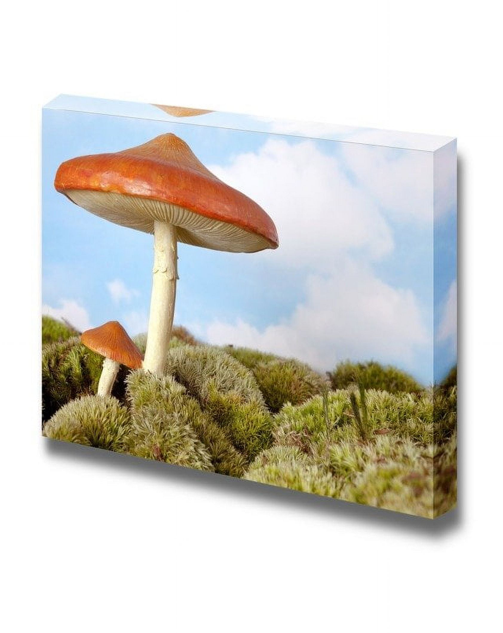 wall26 Artifical Toadstool Background Scene Waiting for Fairies and ...