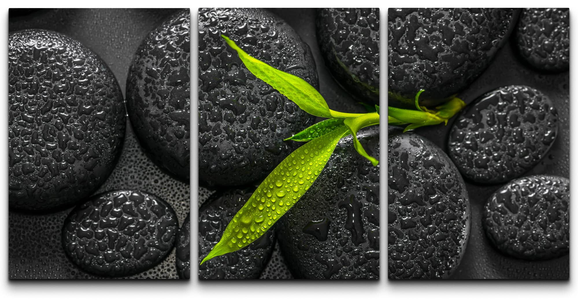 wall26 - Bamboo Branch on Zen Stone - Canvas Art Wall Art - 24"x36"x3 ...