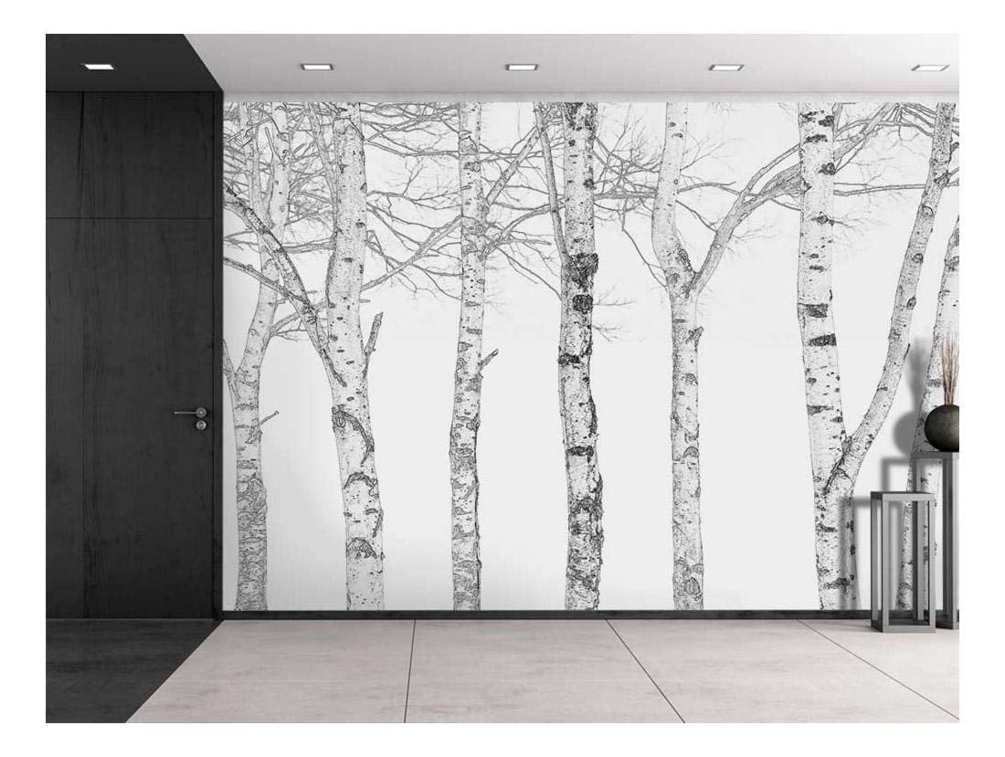 wall26 - Black and White Outline of Aspen Trees - Wall Mural, Removable ...